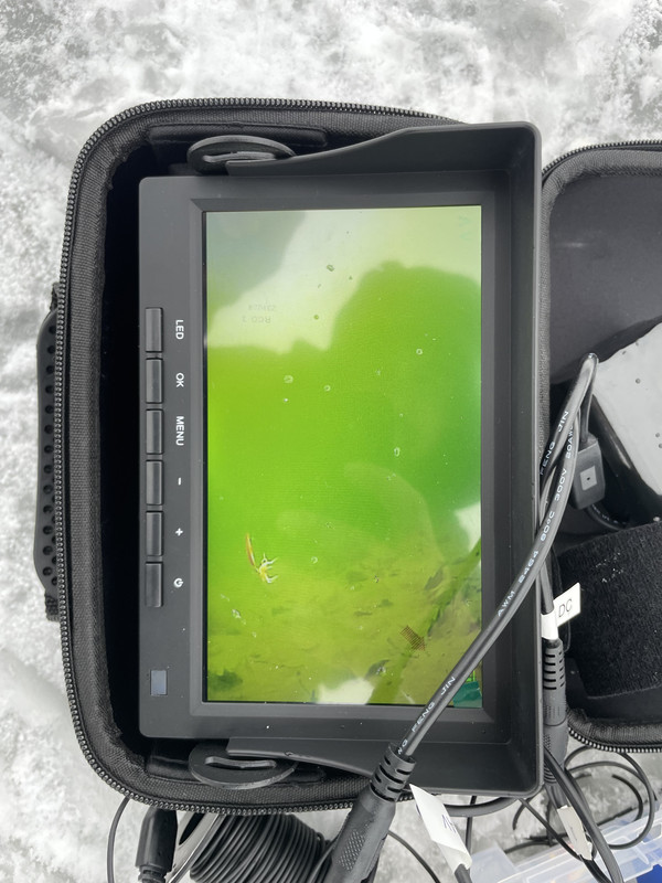 IMG 2595 — Postimages