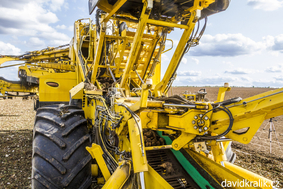 ropa maus 026 — Postimages