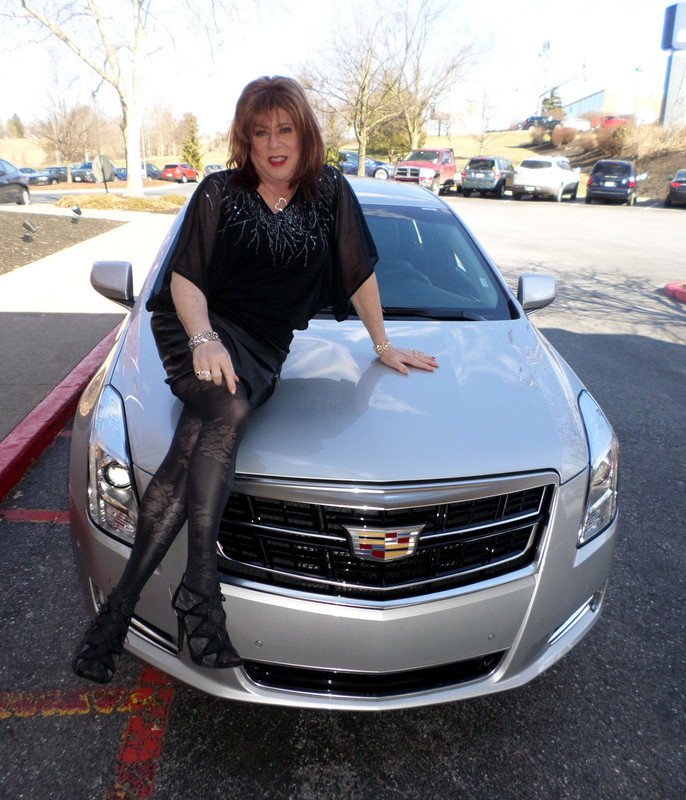 Dani 1 — Postimages