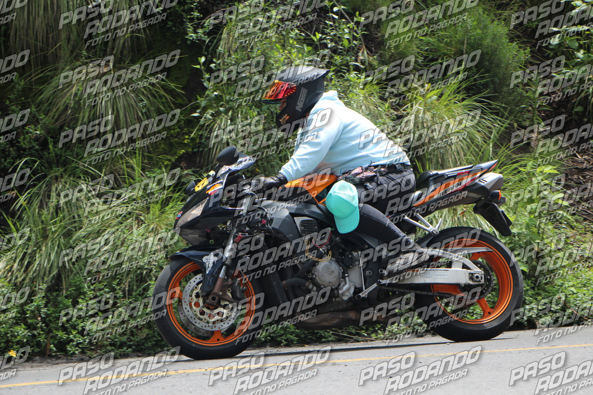 IMG 0480 wm 125998 8999999999 watermarked — Postimages