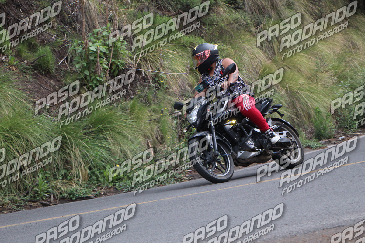 IMG 4704 wm 294809 watermarked — Postimages