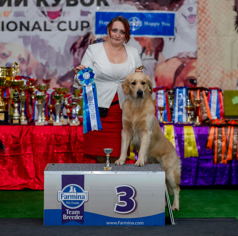 30 1271 — Postimages