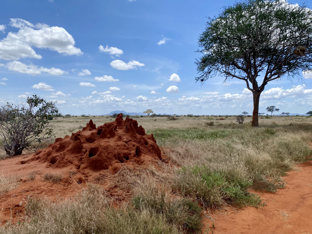 IMG 4933 — Postimages