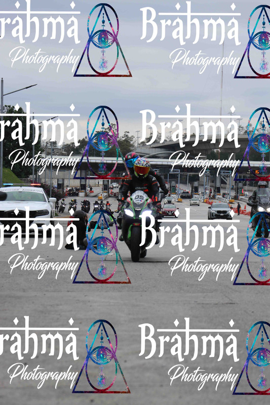 IMG 2135 — Postimages