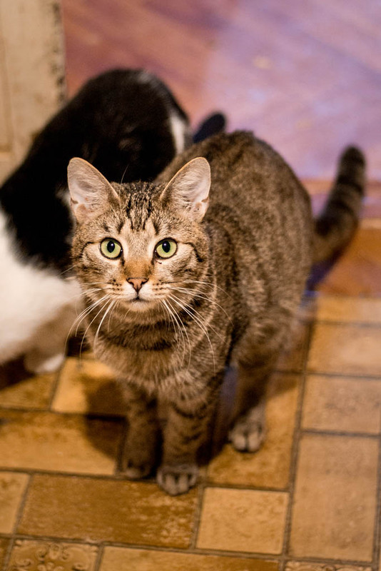 IMG 0318 — Postimages