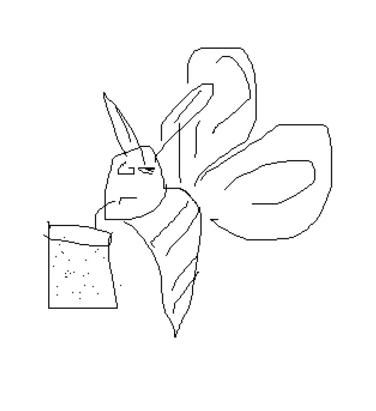 IMG 1359 — Postimages