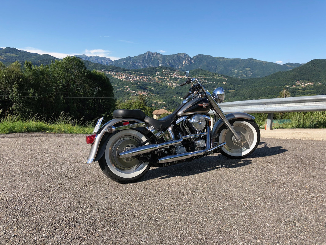 IMG 1585 — Postimages