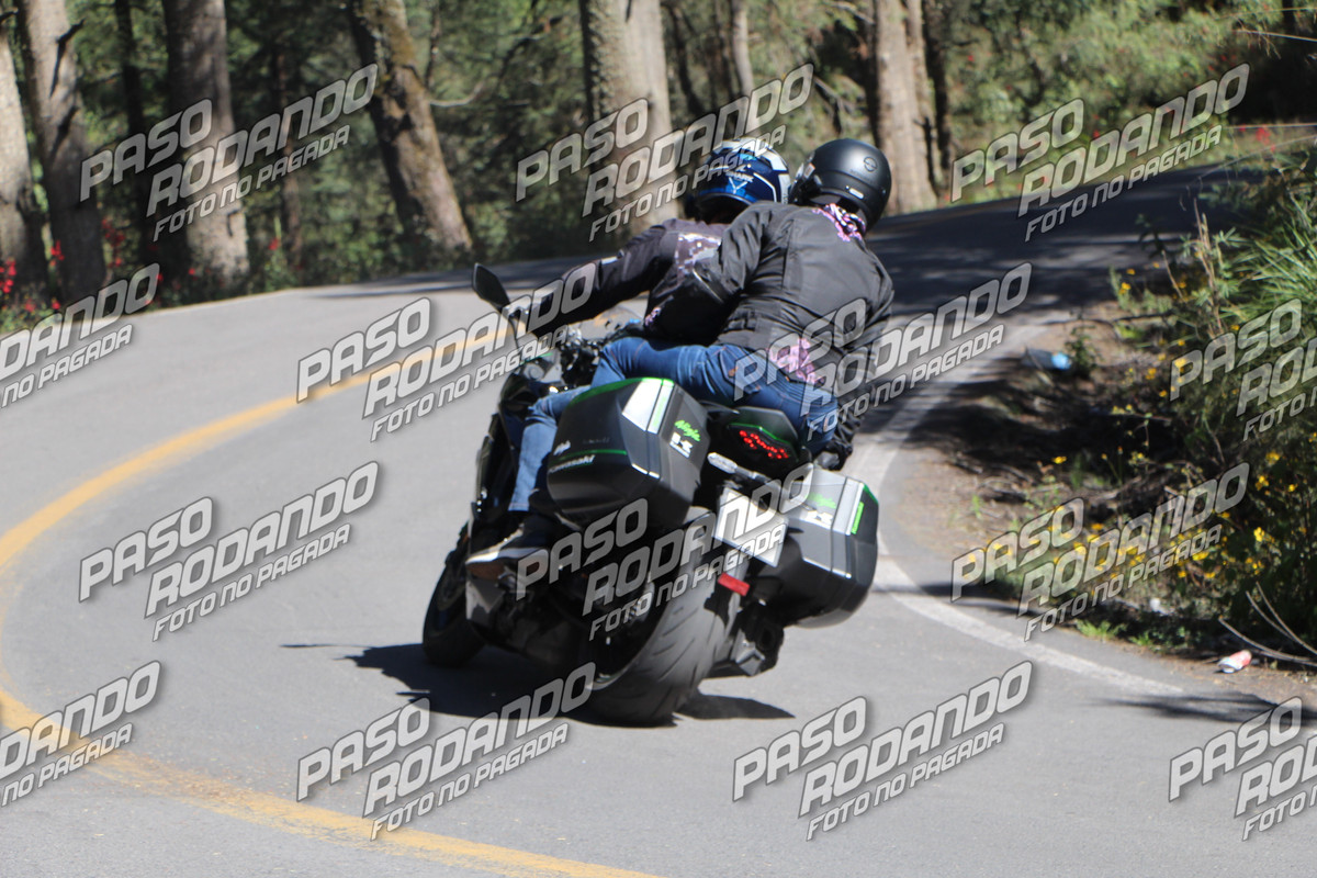 IMG 7691 wm 104954 6000000001 watermarked — Postimages