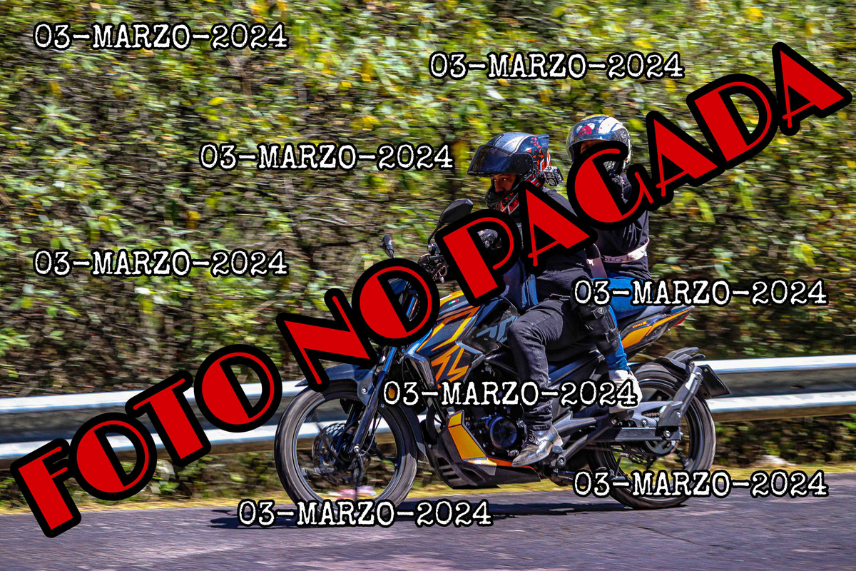 CA 1215 — Postimages