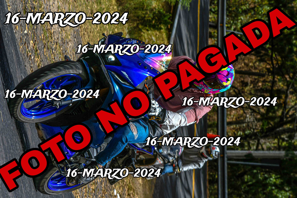 CC 1304 — Postimages