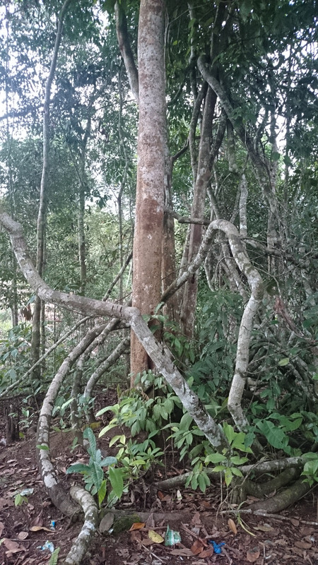 DSC 0471 — Postimages