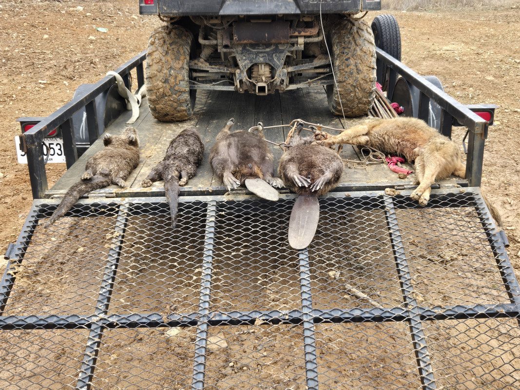 20250222 114837 — Postimages