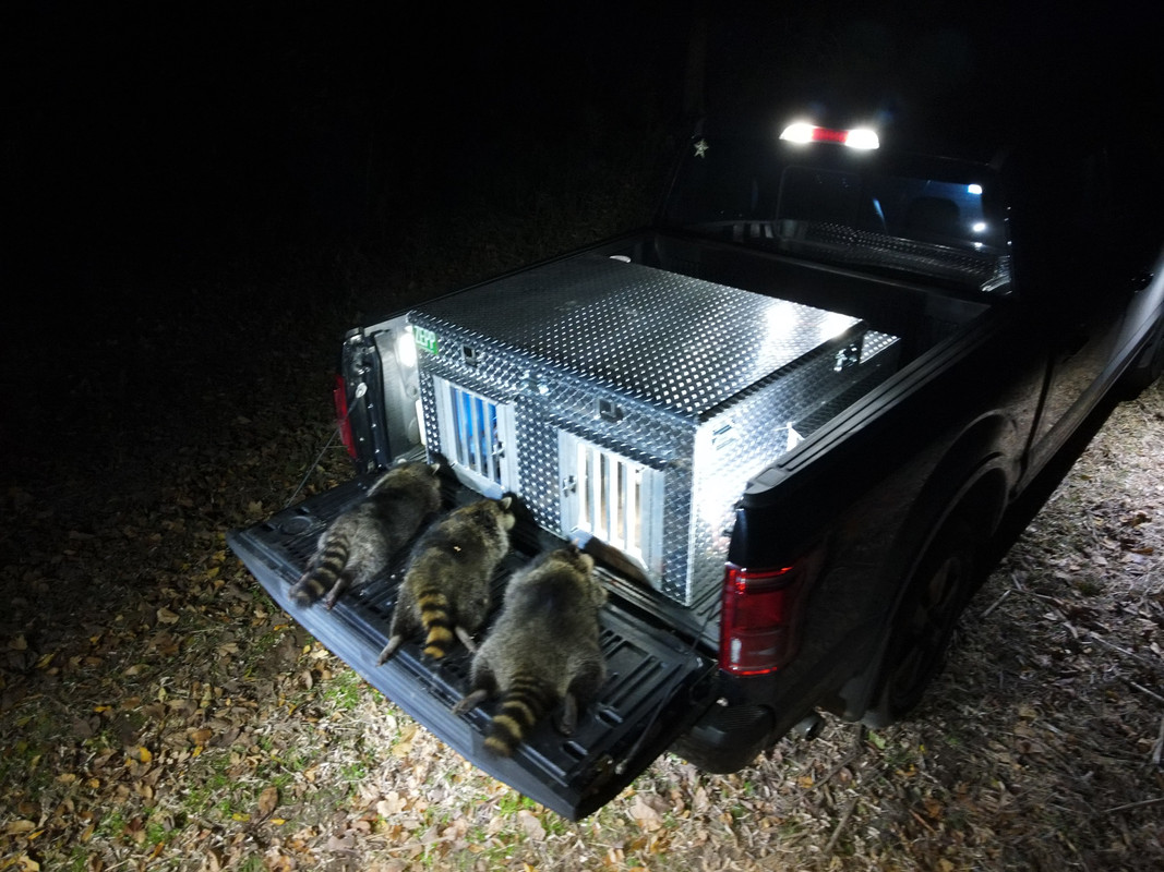 temp Image IKHc Ra — Postimages