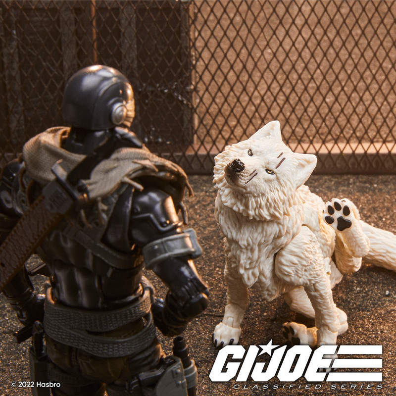 Official YOJJ Wk2 012 — Postimages