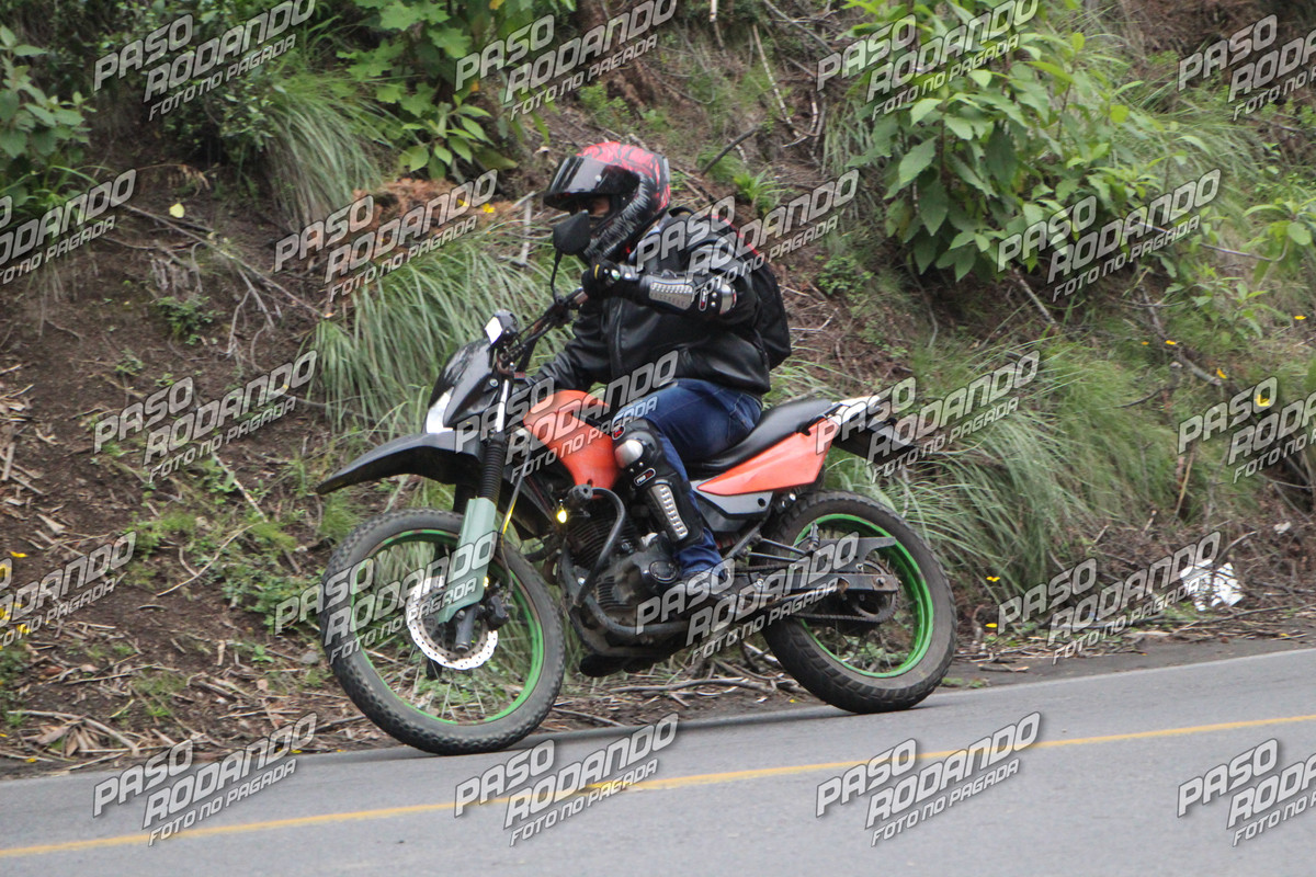 IMG 0575 wm 85790 1000000001 watermarked — Postimages