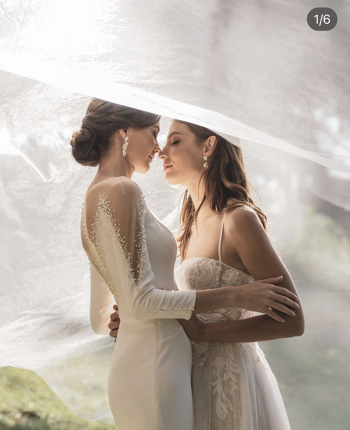 IMG 1646 — Postimages