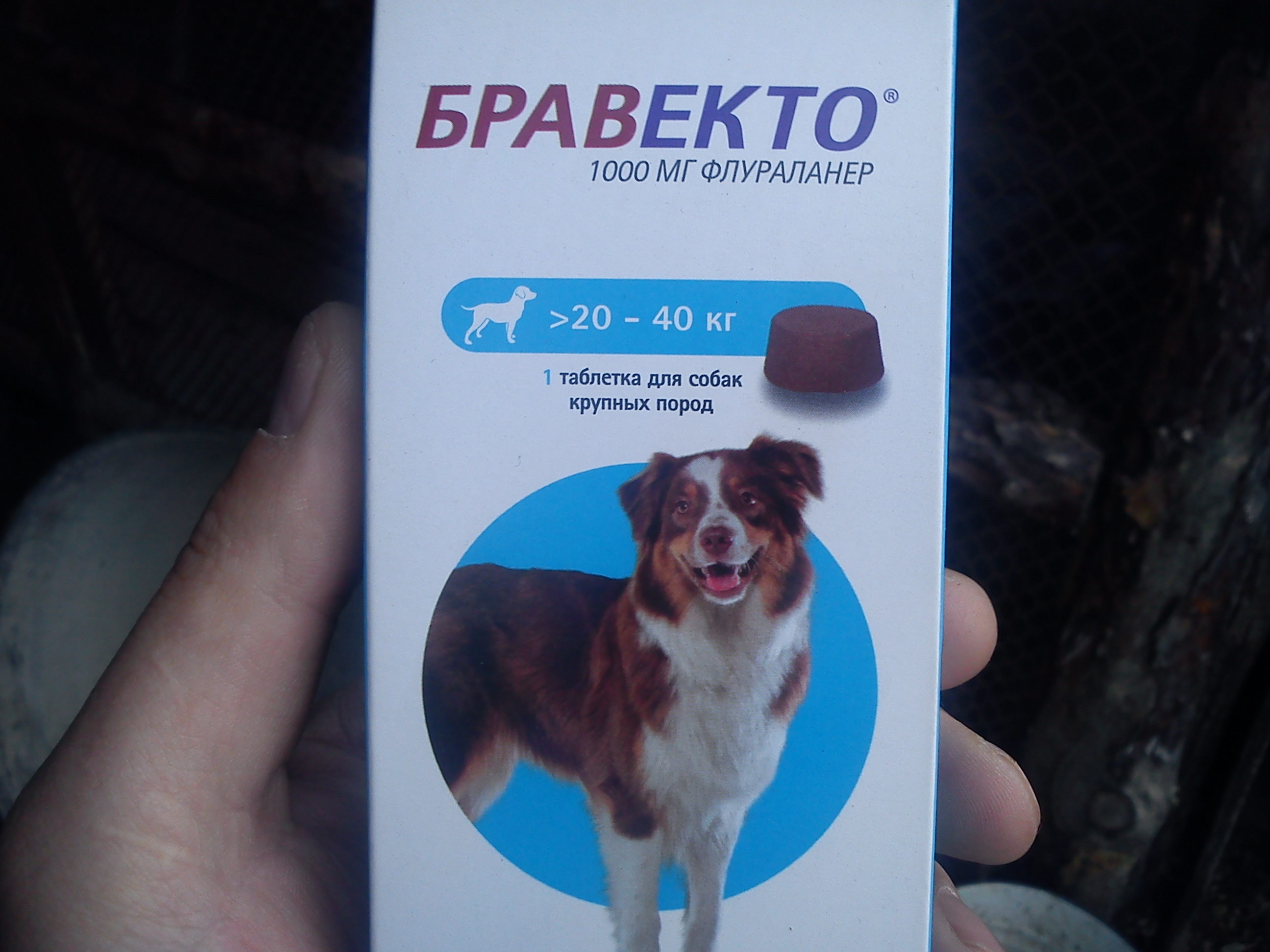 DSC00003 — Postimages