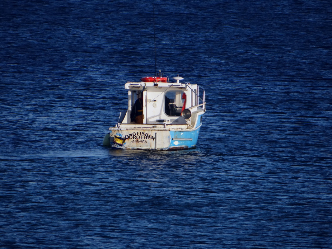 KINGFISHER 3 011023 — Postimages