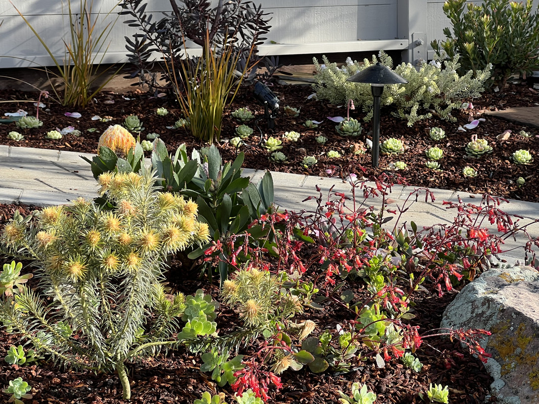 IMG 2777 — Postimages