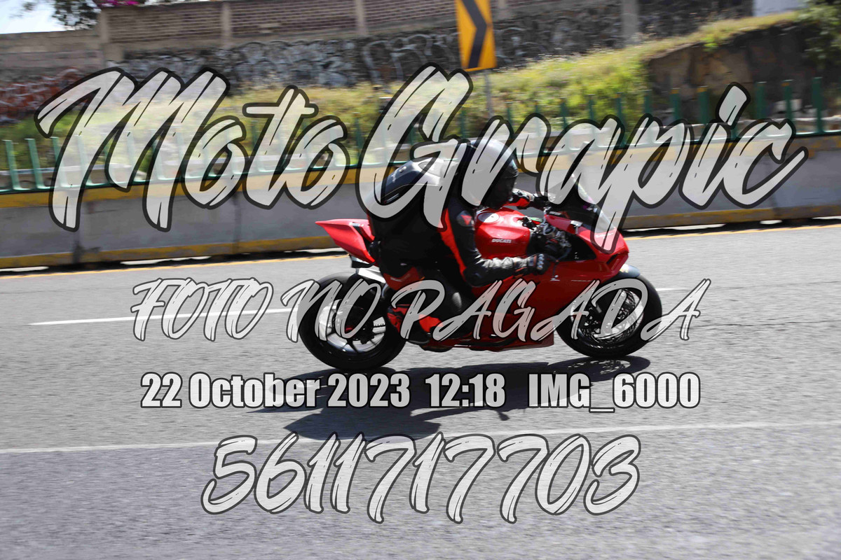 motgr IMG 6000 — Postimages