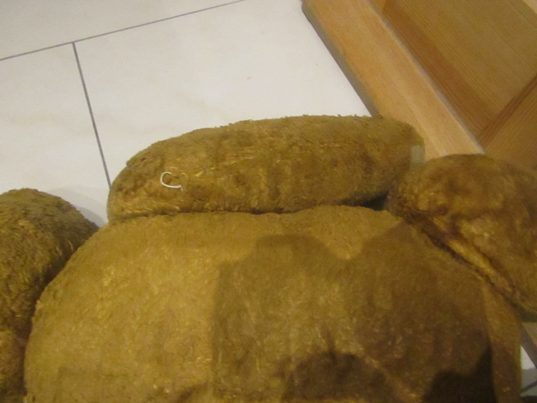 IMG 0369 — Postimages