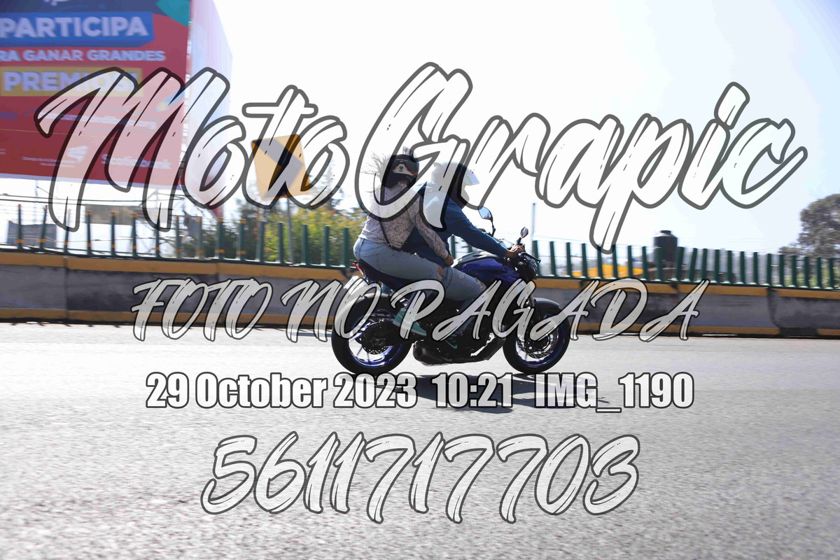 motgr IMG 1190 — Postimages