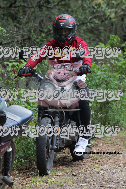 IMG 9136 — Postimages