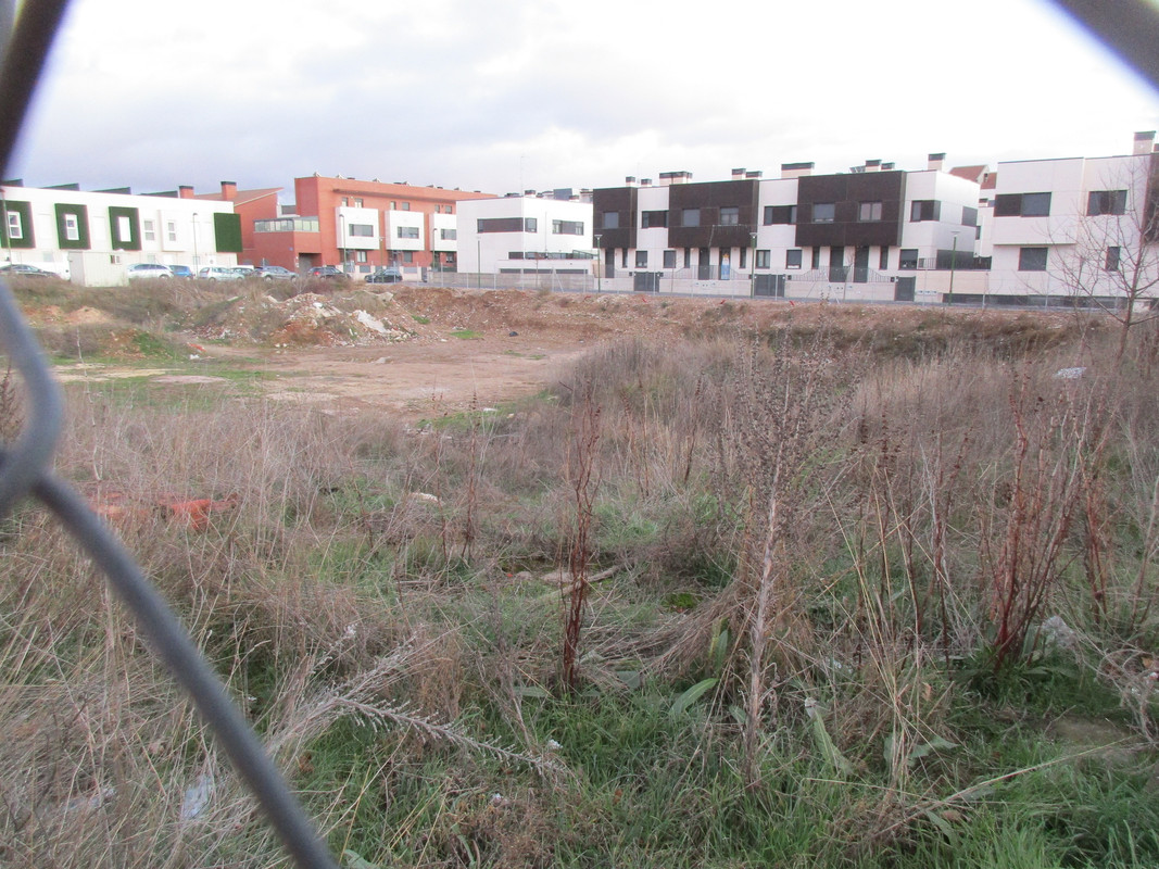 IMG 3136 — Postimages