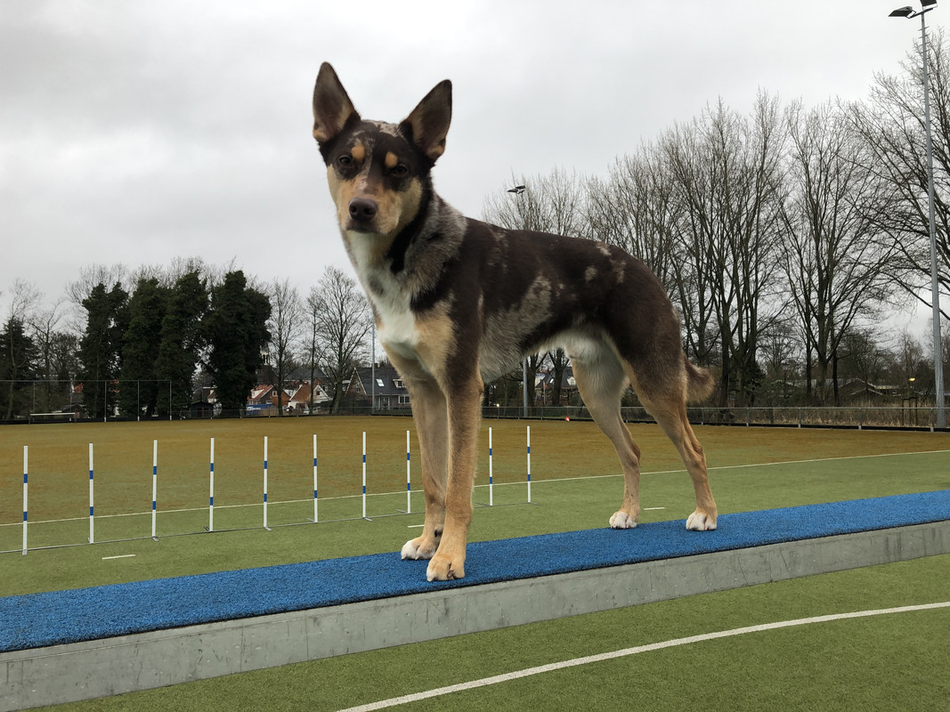 C6 B661 E6 FC19 4 E9 D 9375 E929 B9 B03 BE7 — Postimages