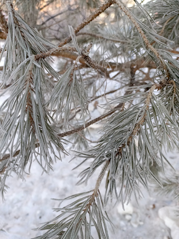 IMG 20240123 092640 885 — Postimages