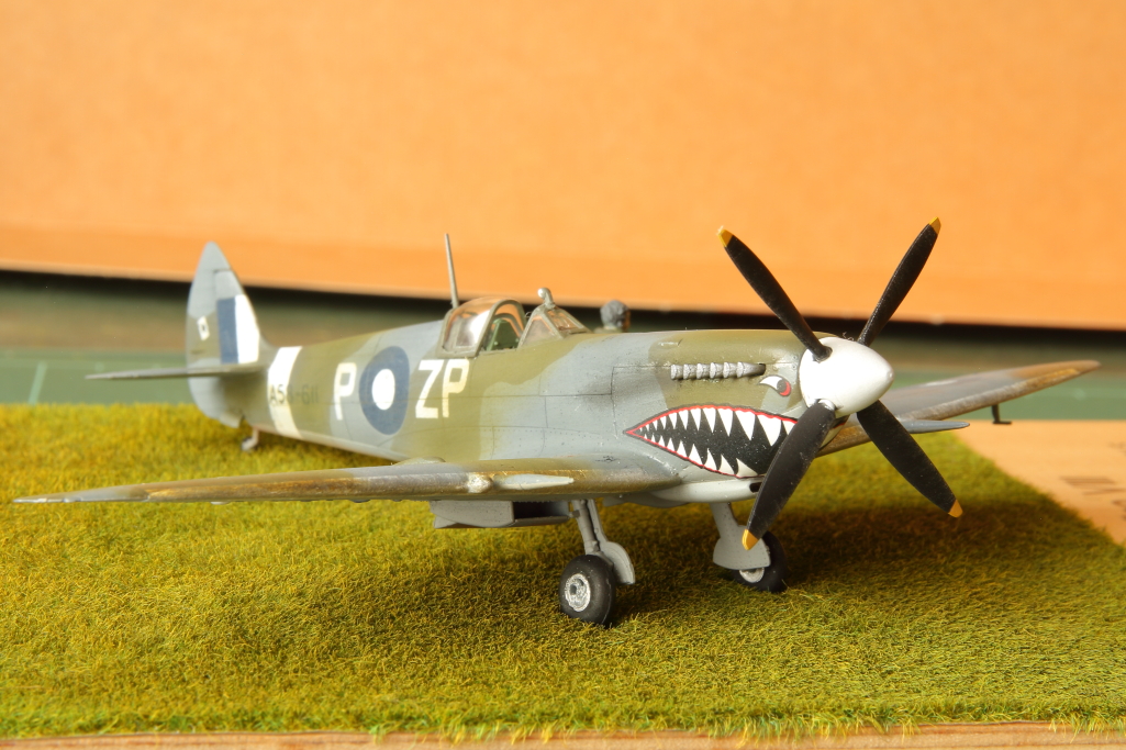 The SAAF Forum • View topic - Eduard 1/72 Supermarine Spitfire VIII