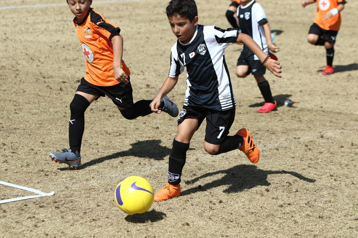 VIK 2186 — Postimages