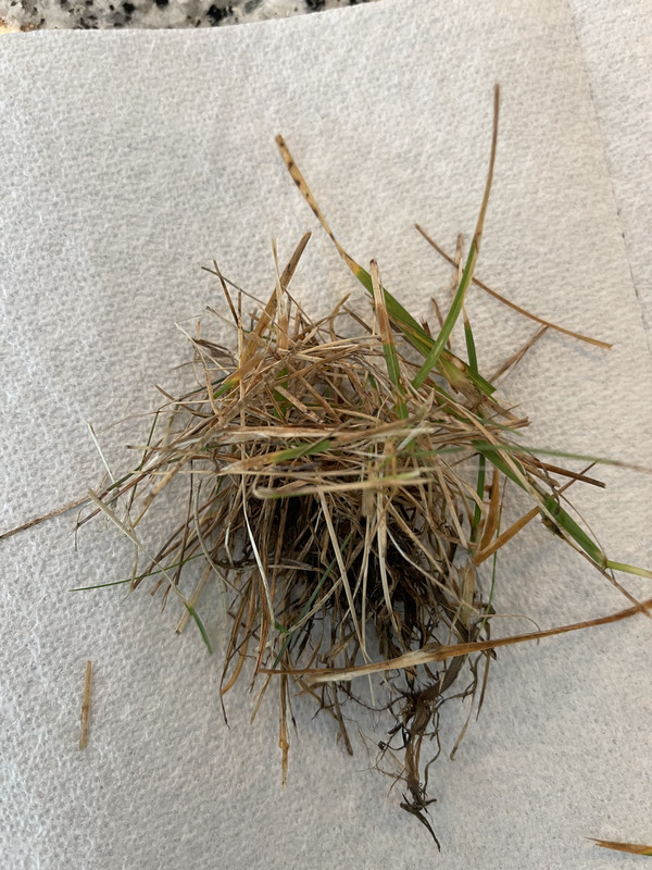 3 B42 FBA8 0613 4 B57 93 E4 4686 C612 D215 — Postimages