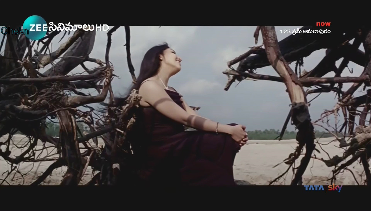 vlcsnap 2020 08 10 13h25m27s453 — Postimages