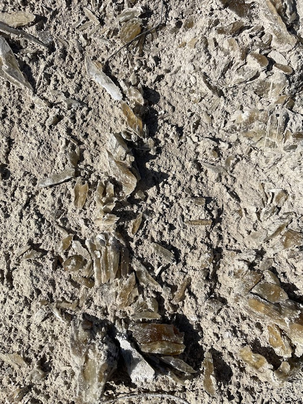 DGRVP- RD-701: A Rocket Engine Too Beautiful For This World > General ...