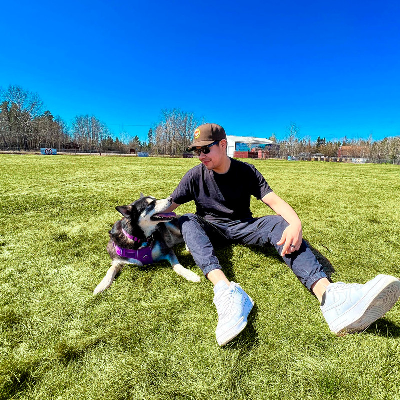 grass — Postimages