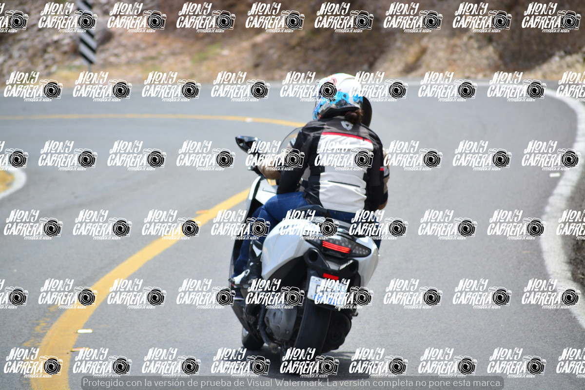 DSC 0447 — Postimages