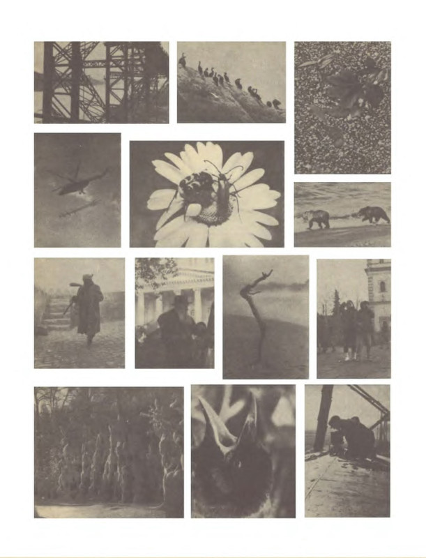 p0009 — Postimages