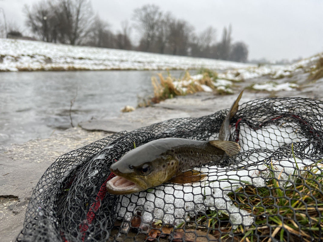 4 DC6 D569 16 B1 4 C0 A A066 FDEC1594161 B — Postimages