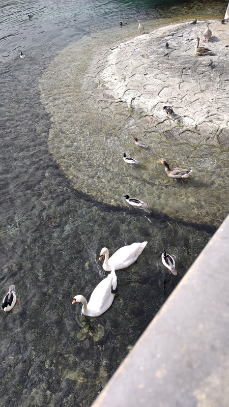 IMG 20230328 WA0001 jpeg — Postimages