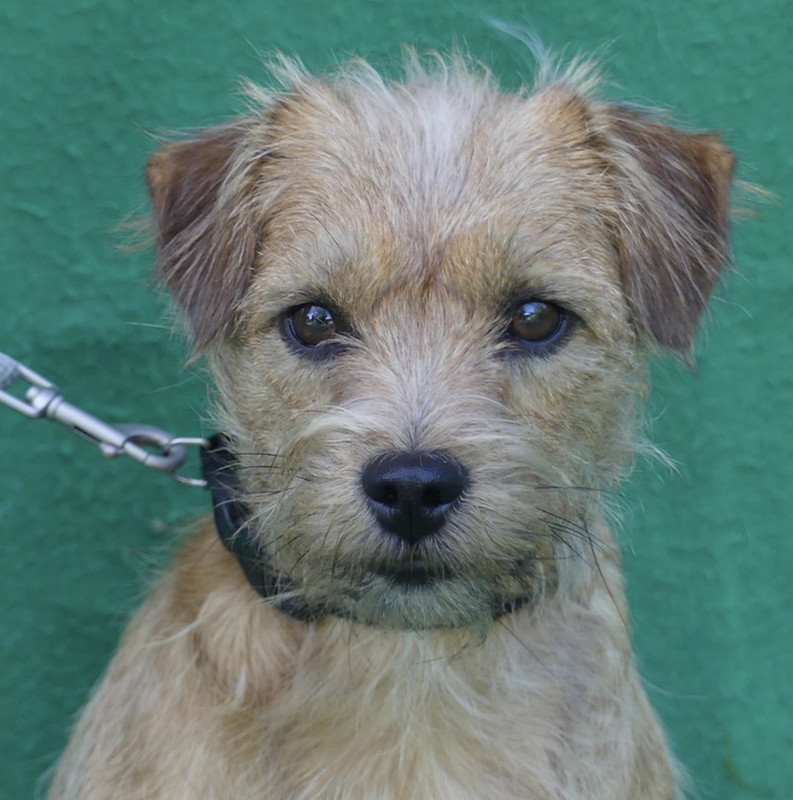 IMG 2294 — Postimages