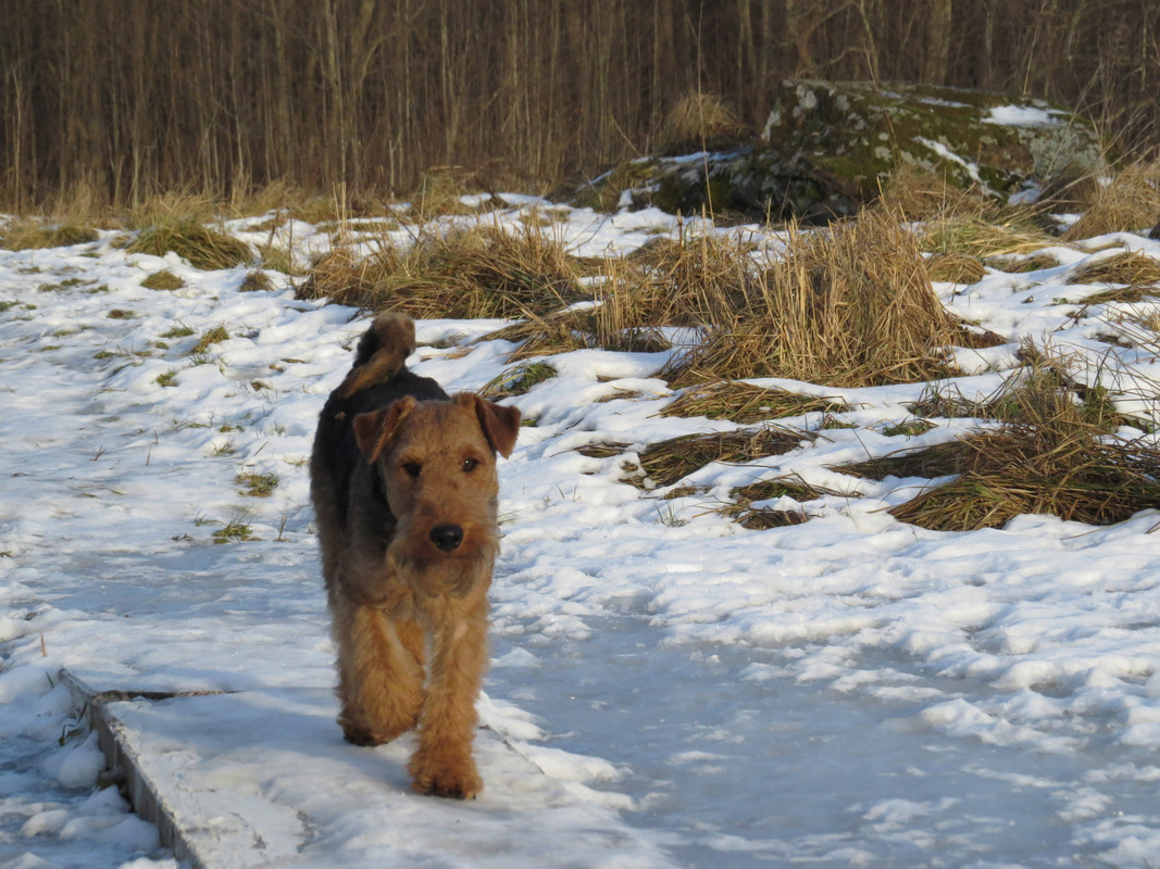 IMG 2574 — Postimages