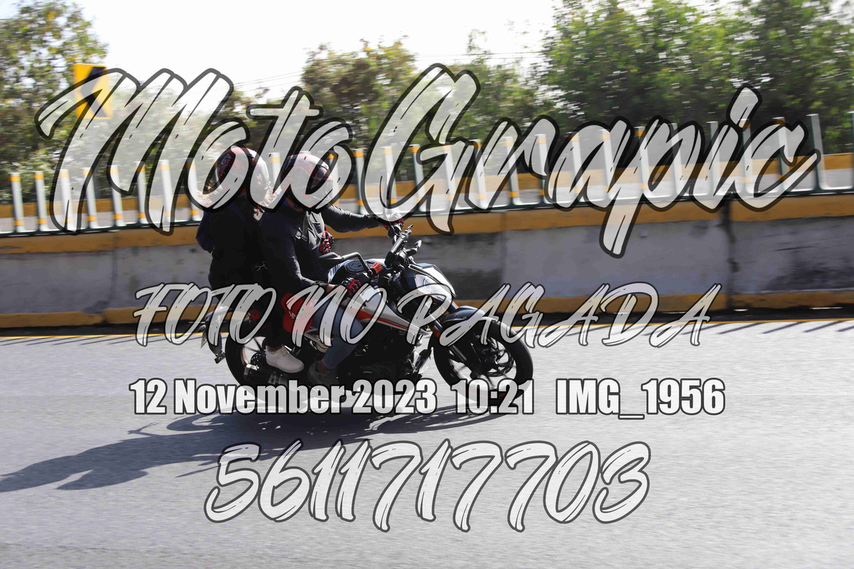 motgr IMG 1956 — Postimages