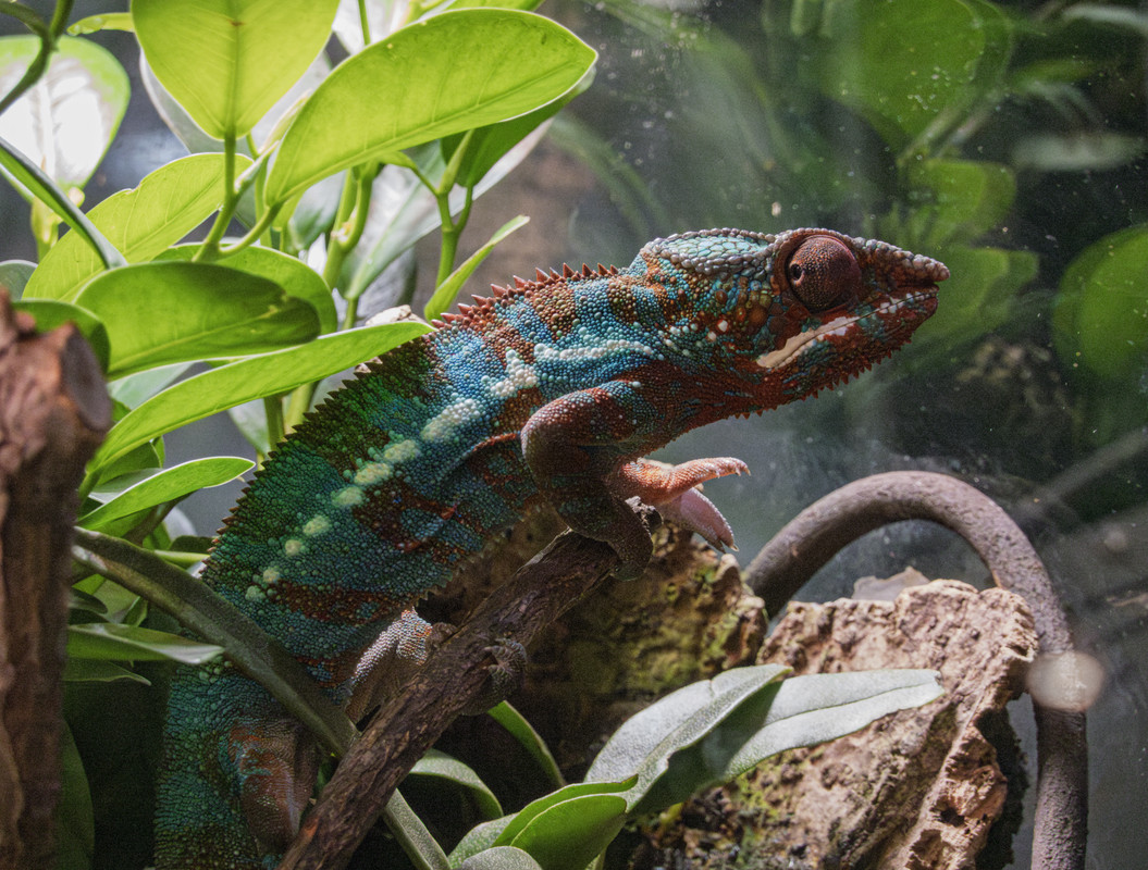 DSC03779 RAW ed4k — Postimages