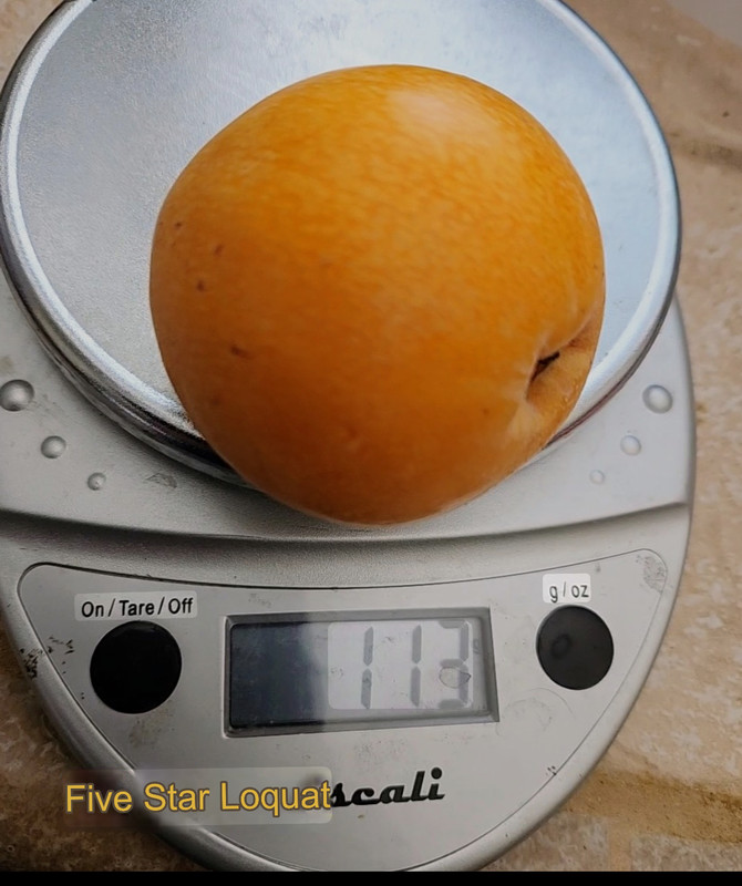 IMG 3291 — Postimages