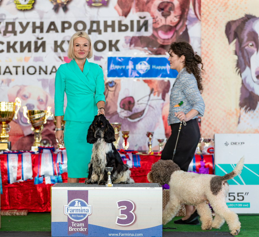 01 279 — Postimages