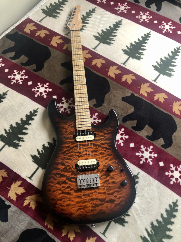 Show me your fretboard inlay-less custom guitars! :-) Anyone not use ...