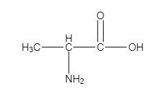 Identify the functional groups in each compound. Alanine. | Quizlet