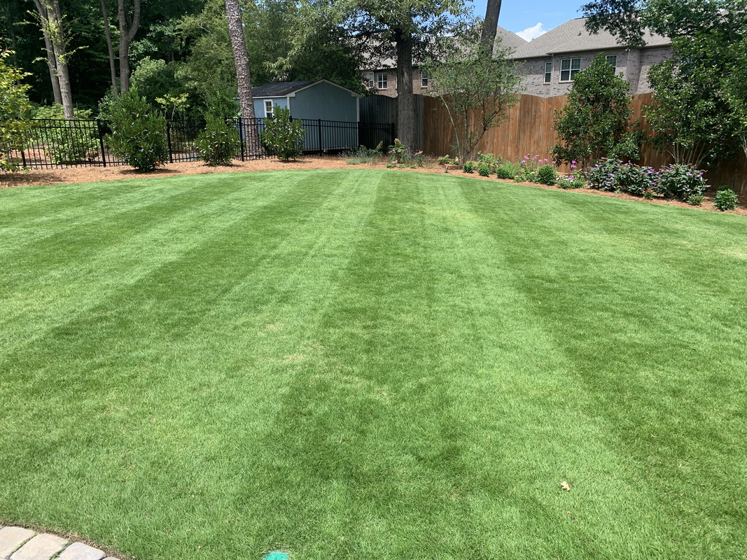 Broadstreet's Zeon Zoysia Journal | Lawn Care Forum
