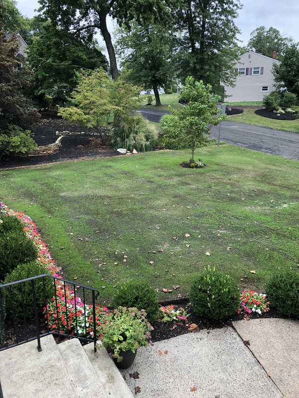 B3 D1 F1 EF 2 B19 4 DF9 9651 8547819863 D4 — Postimages